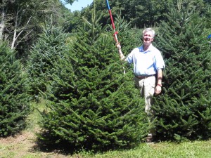 Cartner Christmas Tree Farm | Buy Wholesale