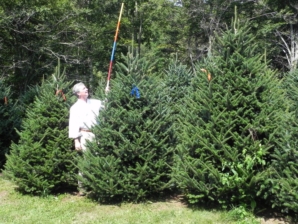 Cartner Christmas Tree Farm | Buy Wholesale